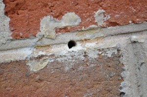 How to Replace a Missing Window Shutter